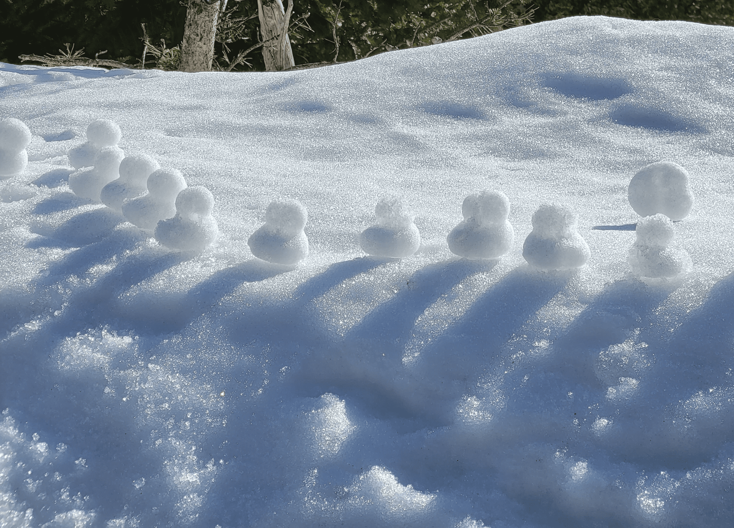 Diary of a Snow Shoveler